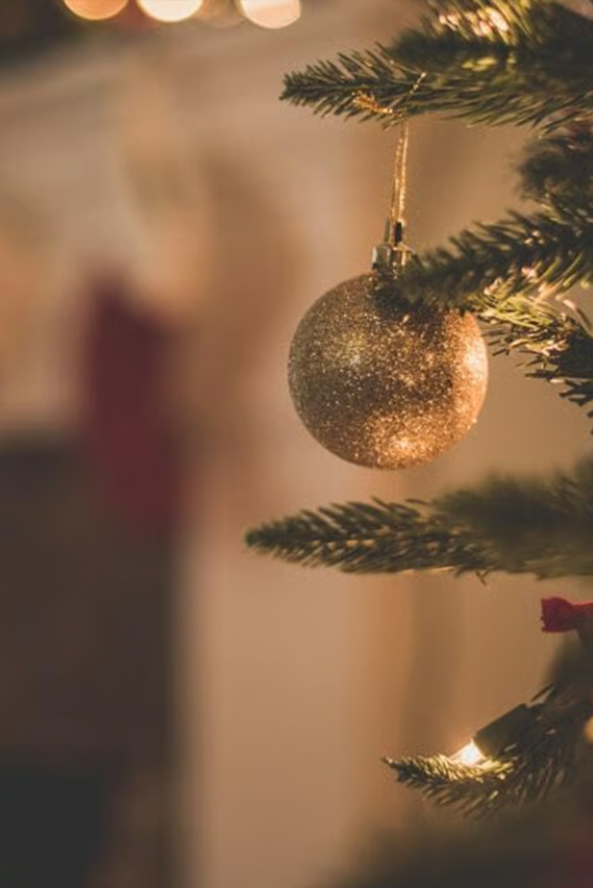 Protester när Zahra utvisas - Hint